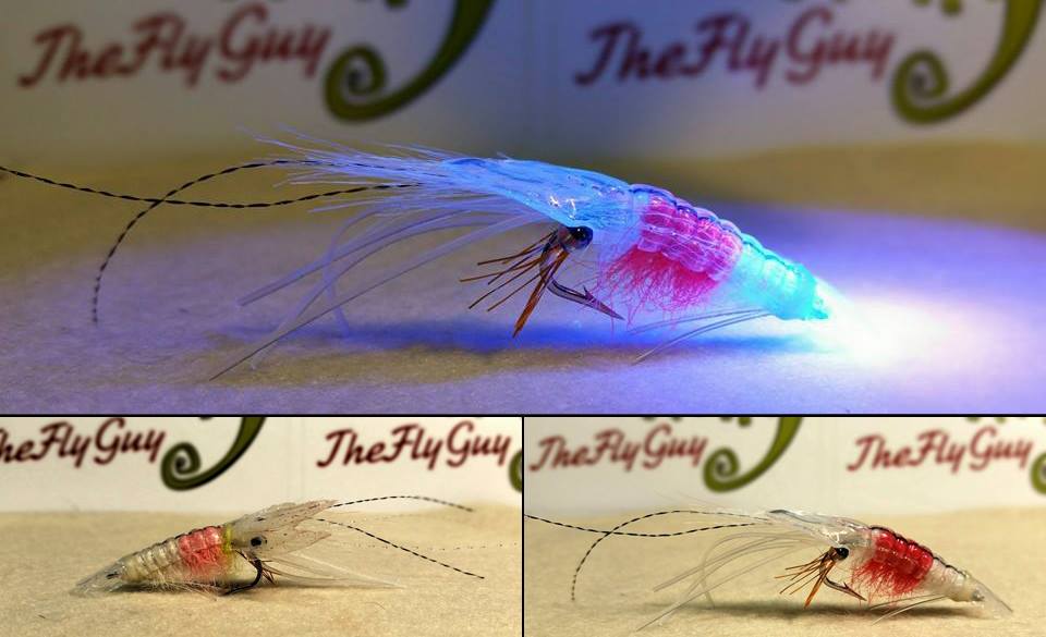 UNREAL shrimp fly pattern called “Ian’s Sand Prawn” by Ian Wallace ...