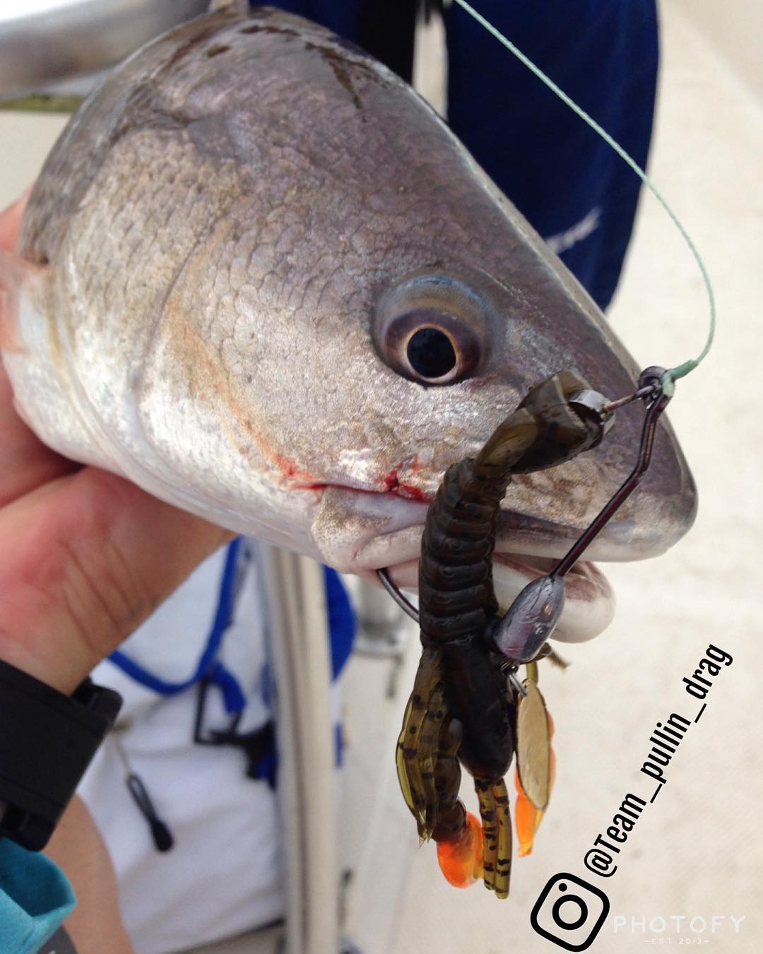 Redfish caught with Crawdadz in Green Pumpkin/orange claws | Skiff Life